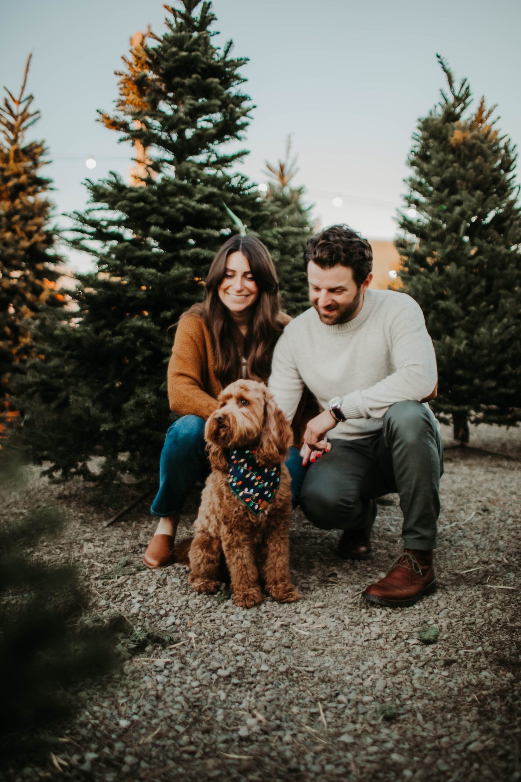 Christmas Photoshoot Ideas - Hello Ruby Doodle