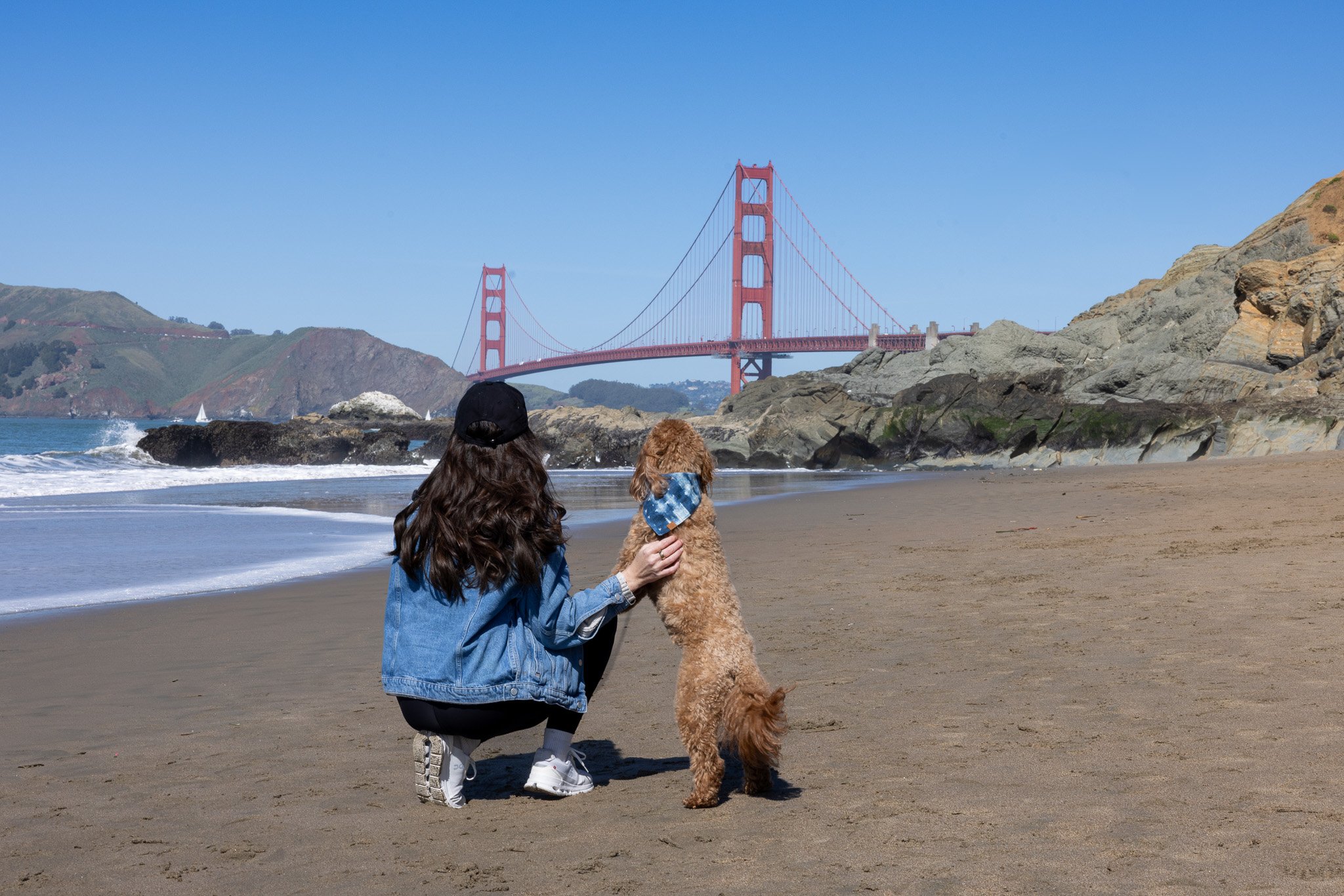 Dog-Friendly San Francisco: The Complete Weekend Guide (2026) - Hello ...
