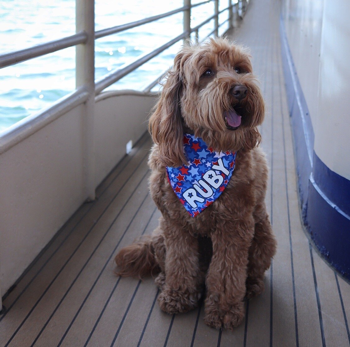 Dog Friendly Guide to Coeur d'Alene - Hello Ruby Doodle
