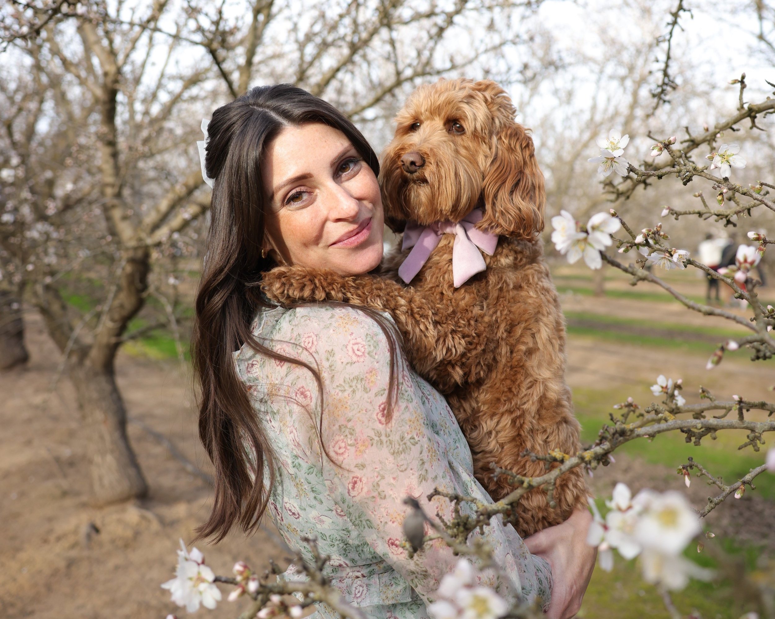 18 Photos to Inspire You to Visit Modesto, CA for Almond Blossom Season ...