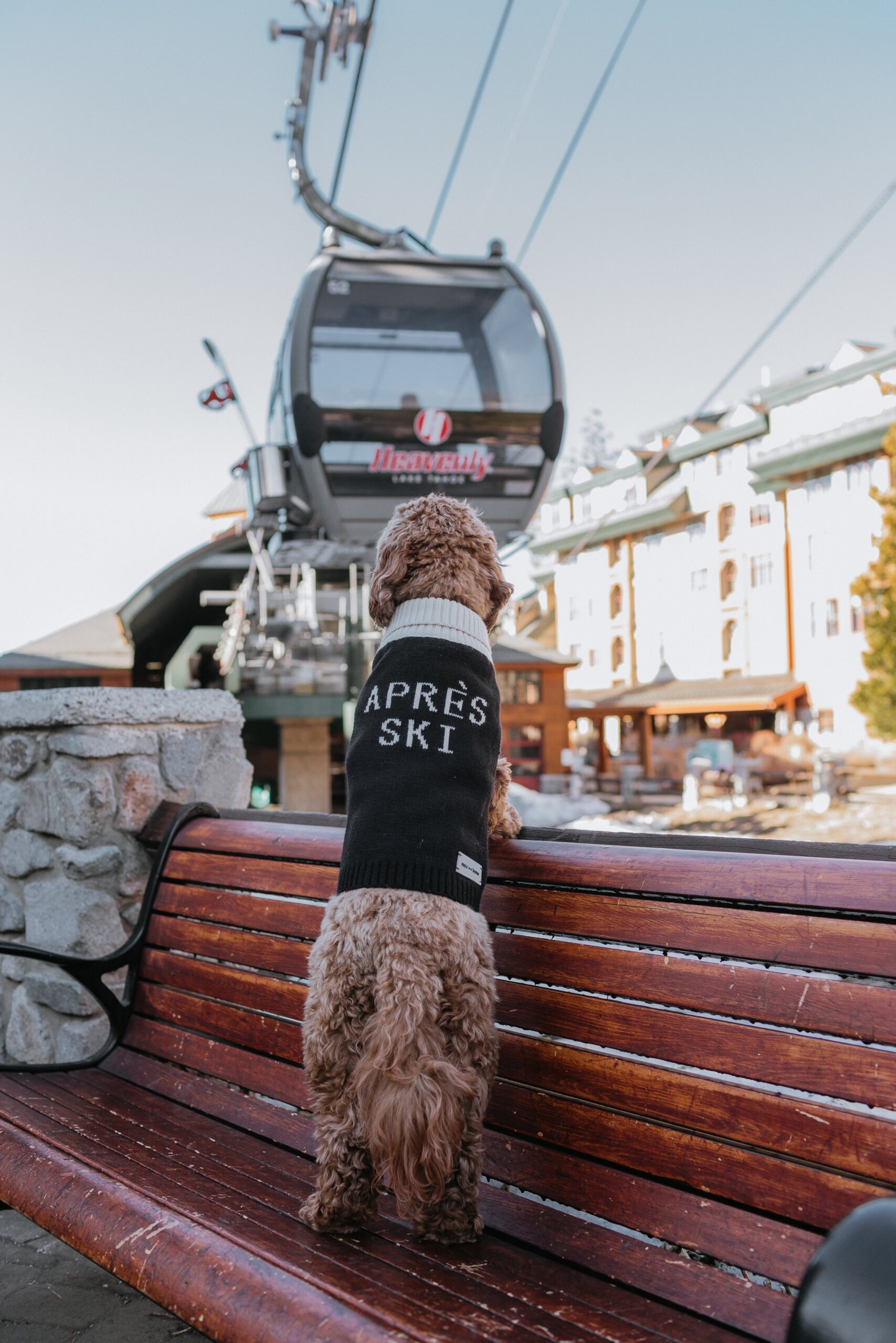 25 Photos to Inspire You to Visit Lake Tahoe in the Winter with Your ...