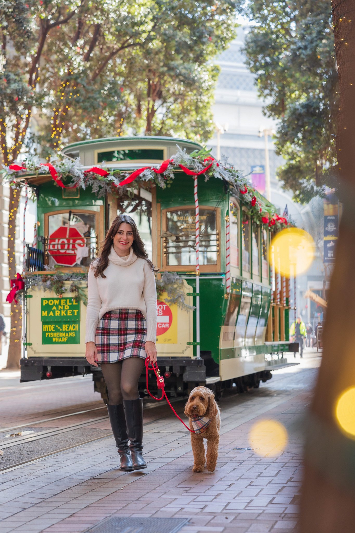 Best Christmas Photo Spots in San Francisco - Hello Ruby Doodle