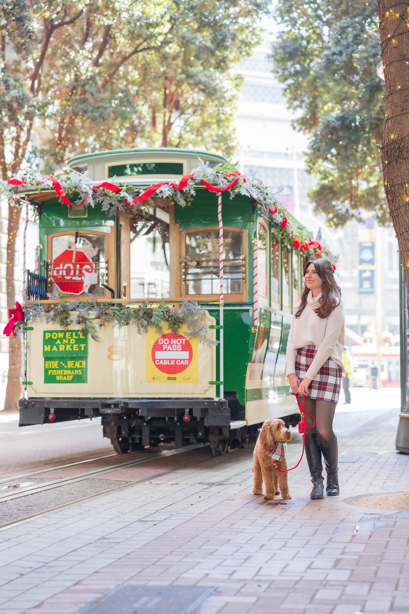 Best Christmas Photo Spots in San Francisco - Hello Ruby Doodle