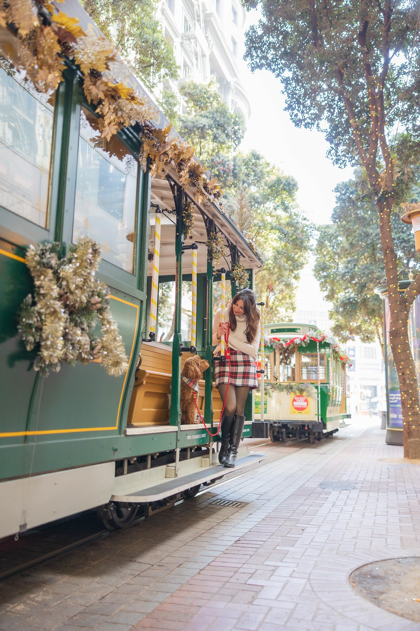 Best Christmas Photo Spots in San Francisco - Hello Ruby Doodle