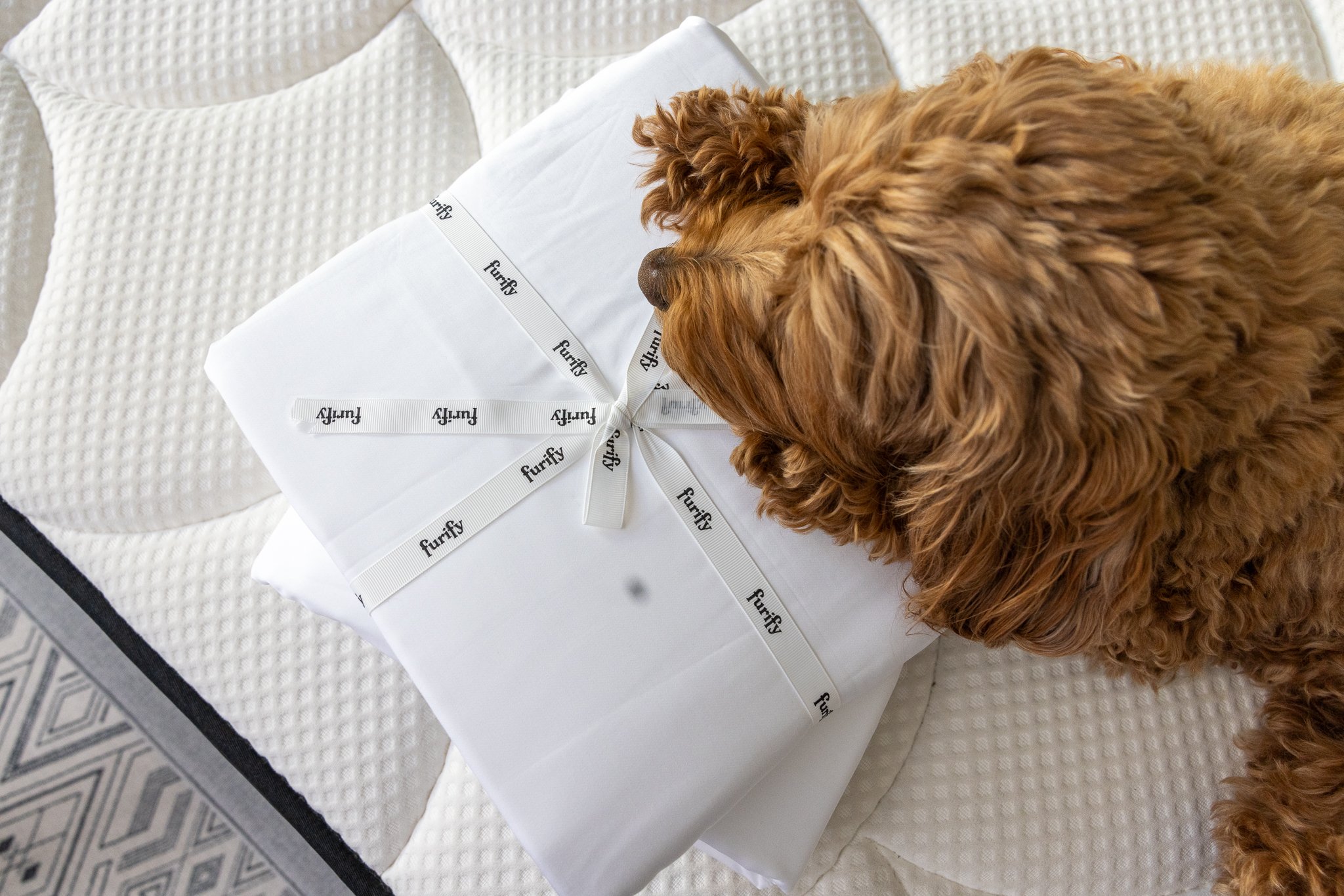 Best Bedding for Dog Owners - Hello Ruby Doodle