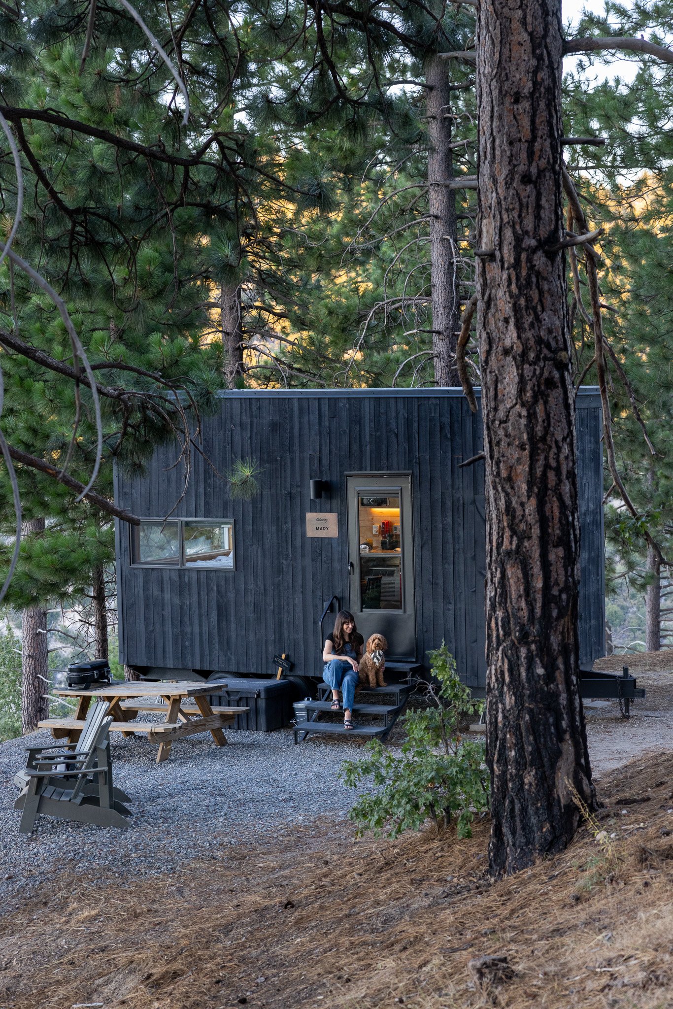 Dog-friendly Bucket List Experiences in the U.S. (and Beyond) - Hello ...
