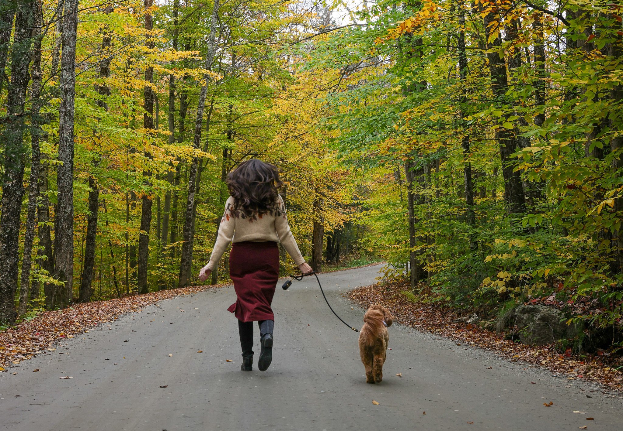 Dog-friendly Bucket List Experiences in the U.S. (and Beyond) - Hello ...