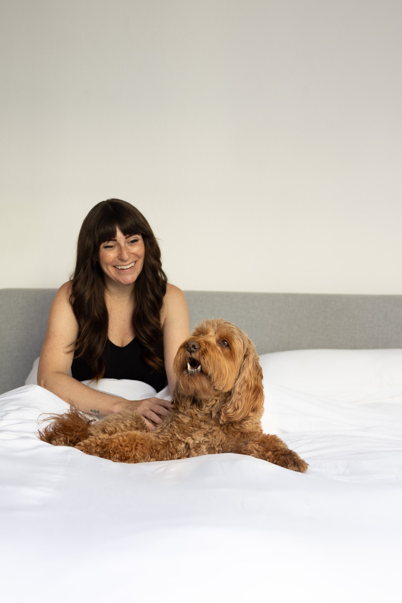 Best Bedding for Dog Owners - Hello Ruby Doodle