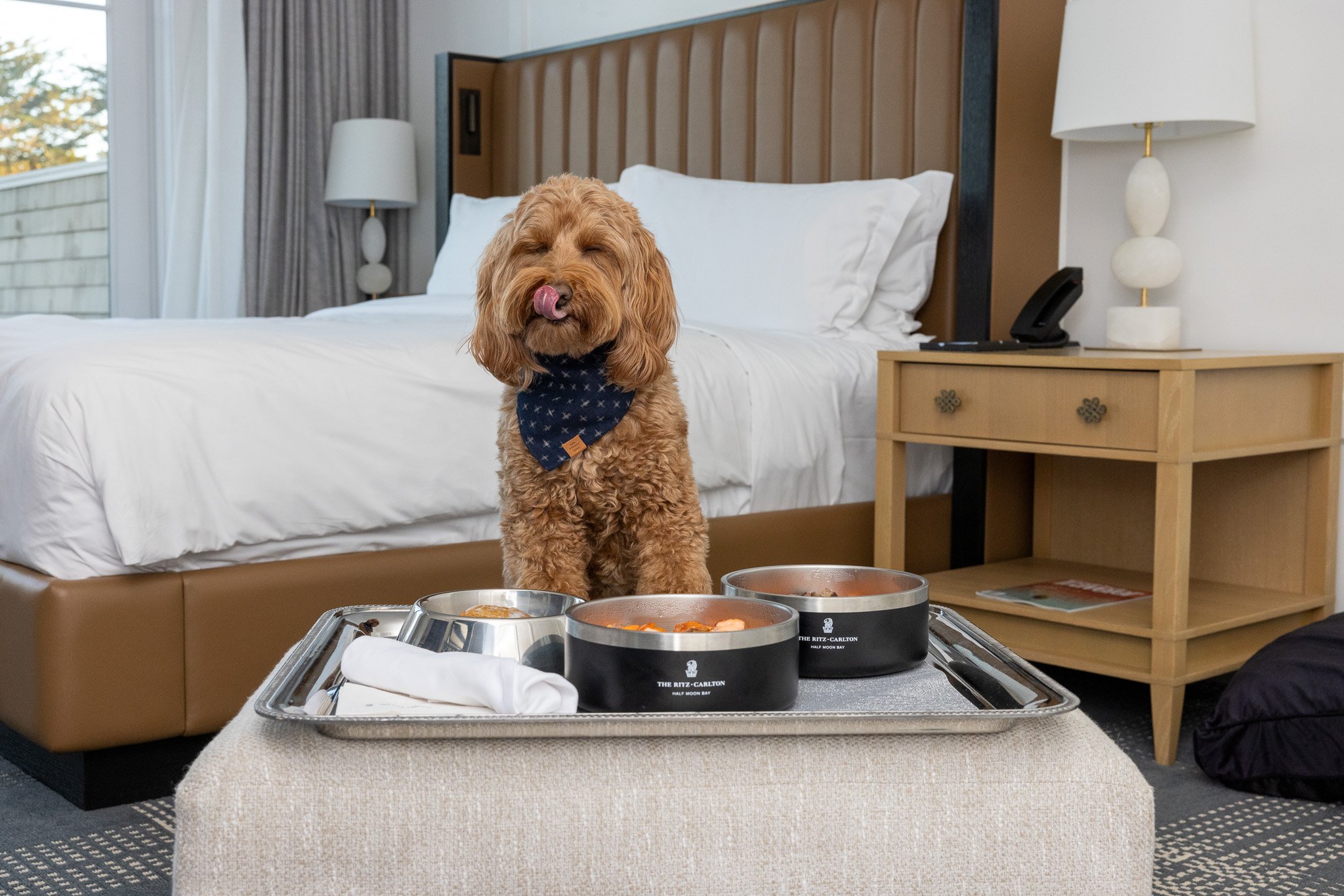 Dog-friendly Bucket List Experiences in the U.S. (and Beyond) - Hello ...