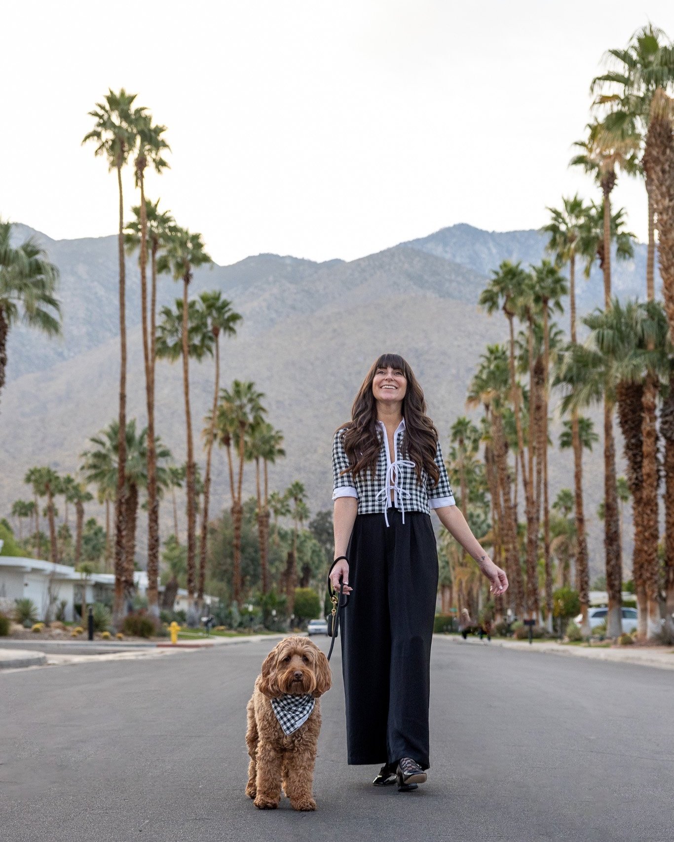 Dog-friendly Bucket List Experiences in the U.S. (and Beyond) - Hello ...