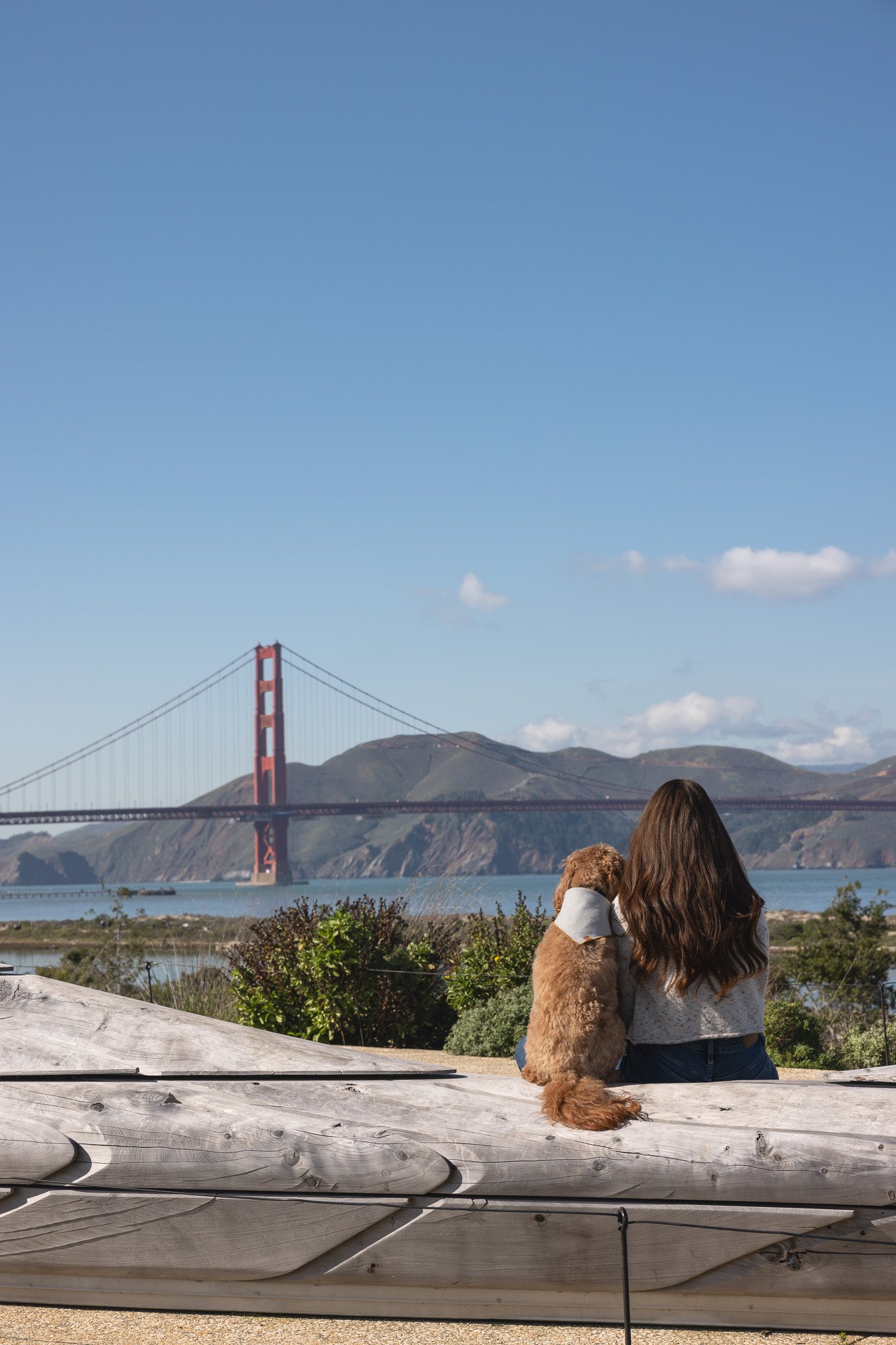 Dog-friendly Bucket List Experiences in the U.S. (and Beyond) - Hello ...