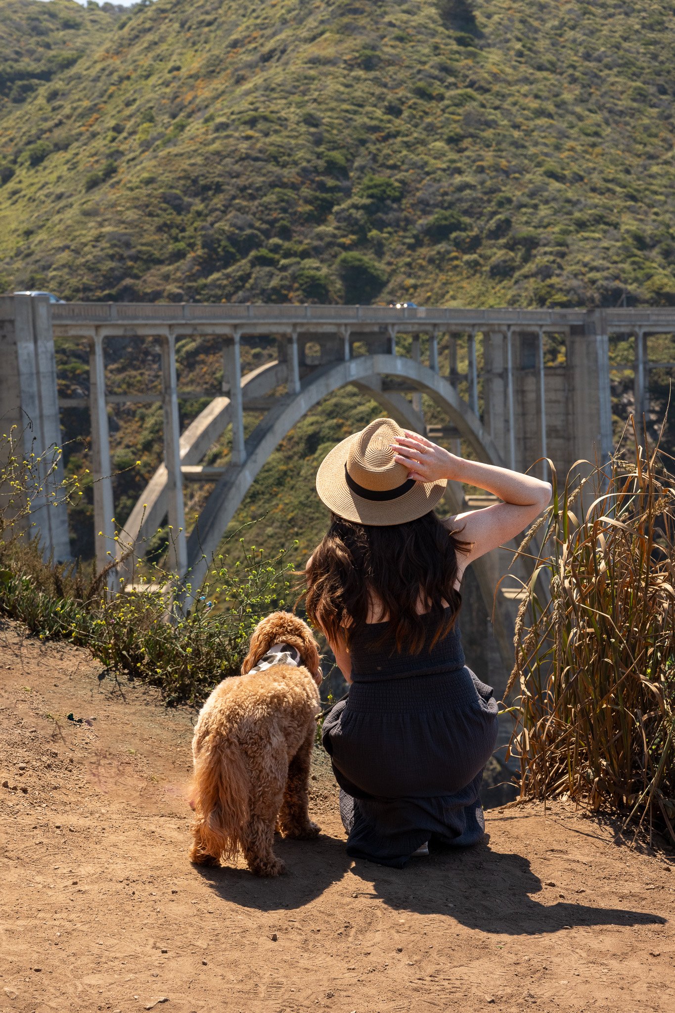 Dog-friendly Bucket List Experiences in the U.S. (and Beyond) - Hello ...