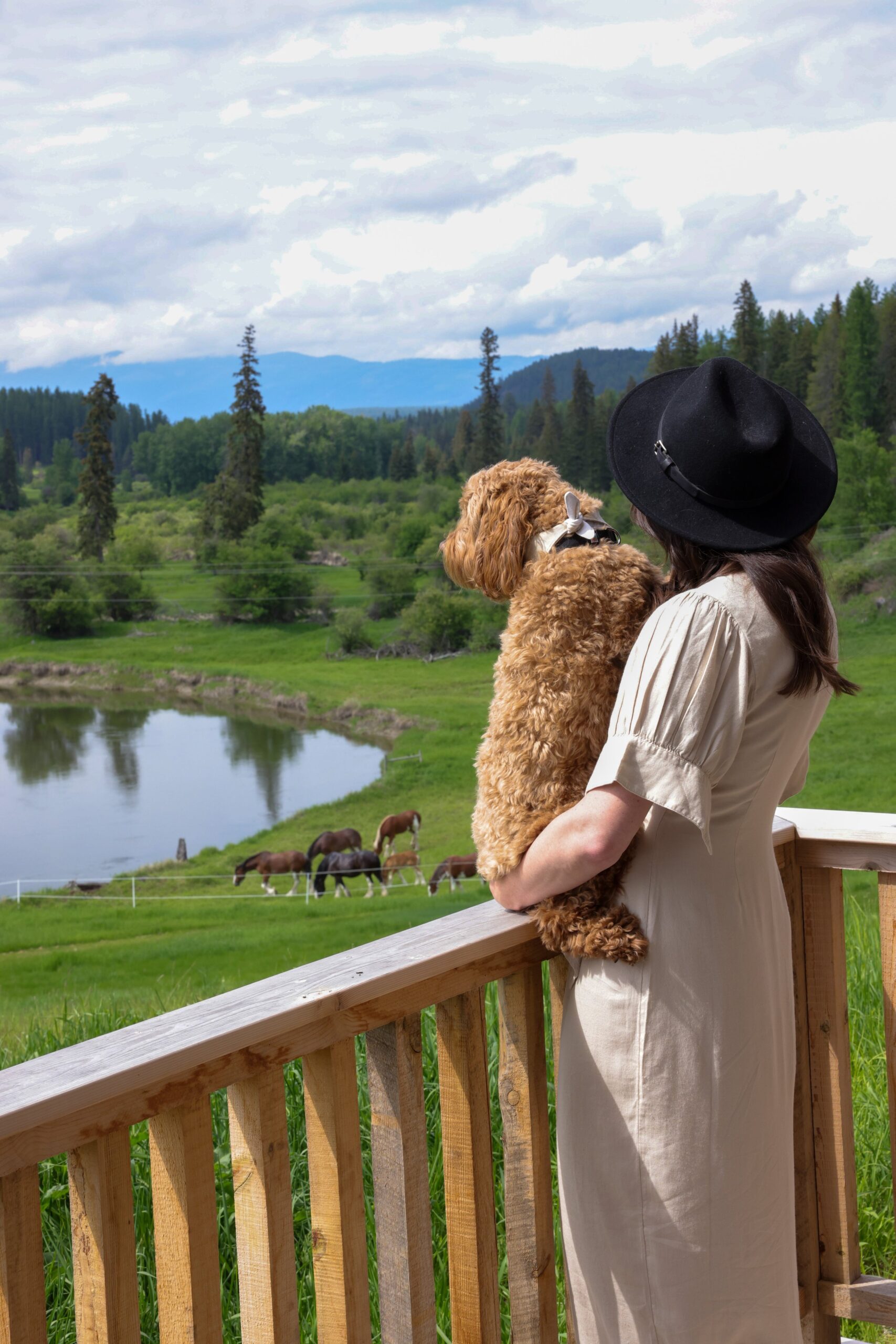 A Dog-friendly Guide to Montana - Hello Ruby Doodle