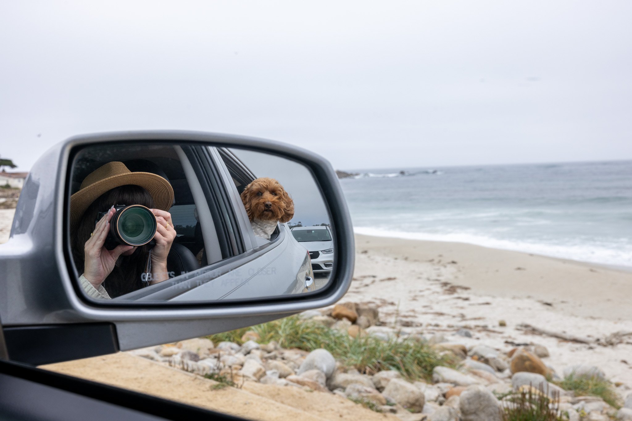 Dog-Friendly Carmel-by-the-Sea: The Complete Guide (2026) - Hello Ruby ...